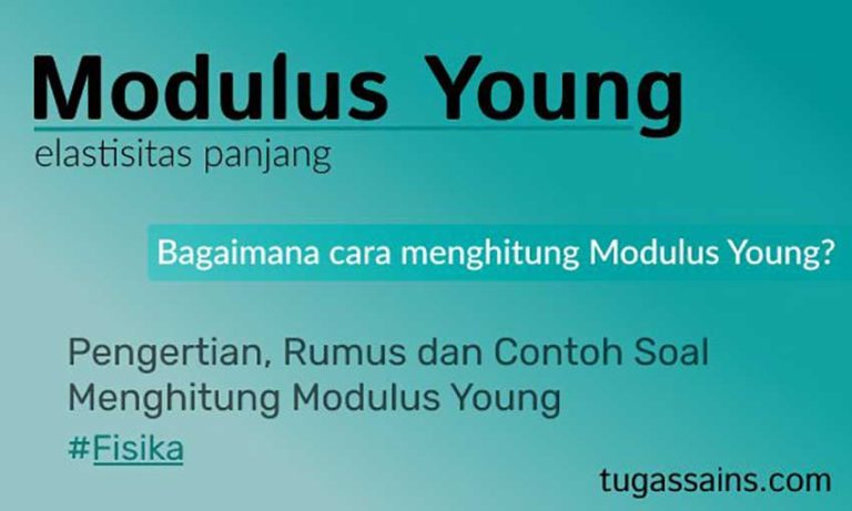 Modulus Young (Pengertian, Rumus dan Contoh Soal) | Tugassains Com