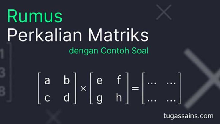 Rumus Perkalian Matriks dan Contoh Soal | Tugassains Com